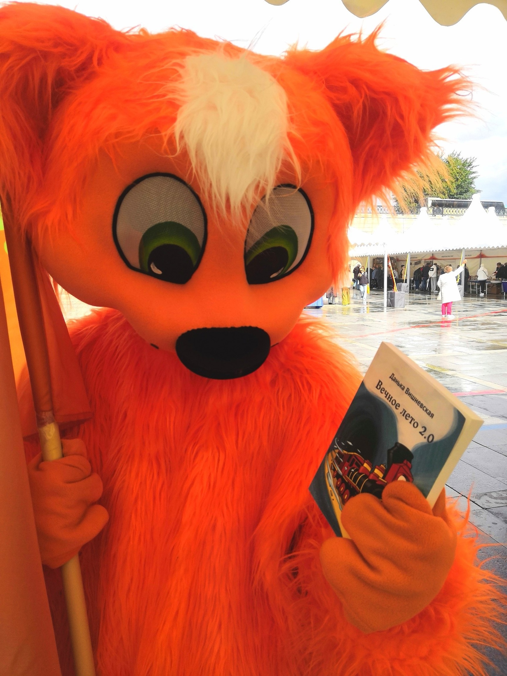 Книжный фестиваль "Красная строка". Как это было?