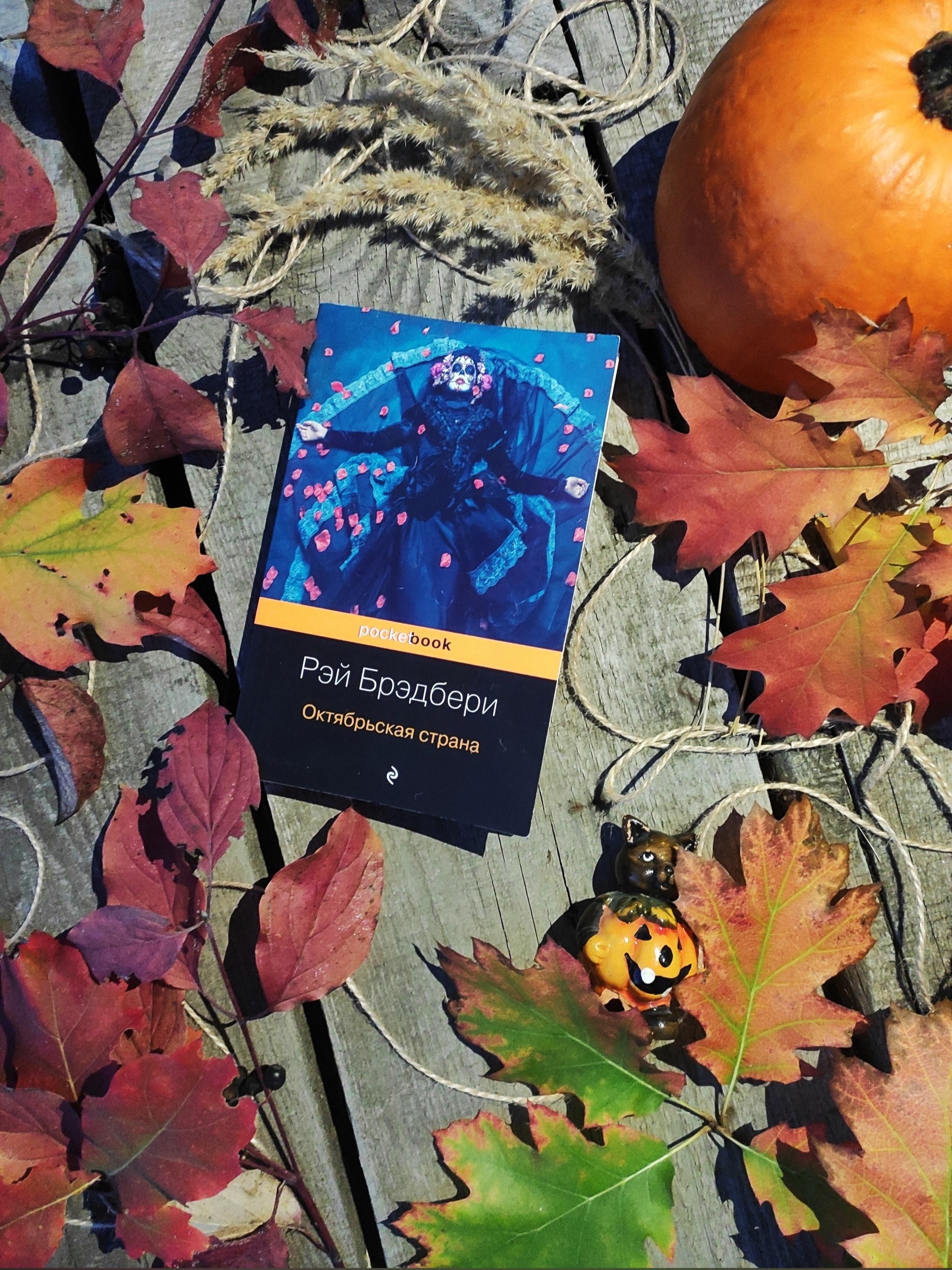 «Книжная полка». Тур 104. Сентябрь 2023. Голосование завершено — 87 книг