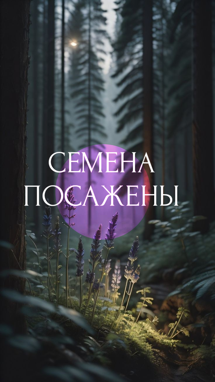 Дивный сад. Тур 2