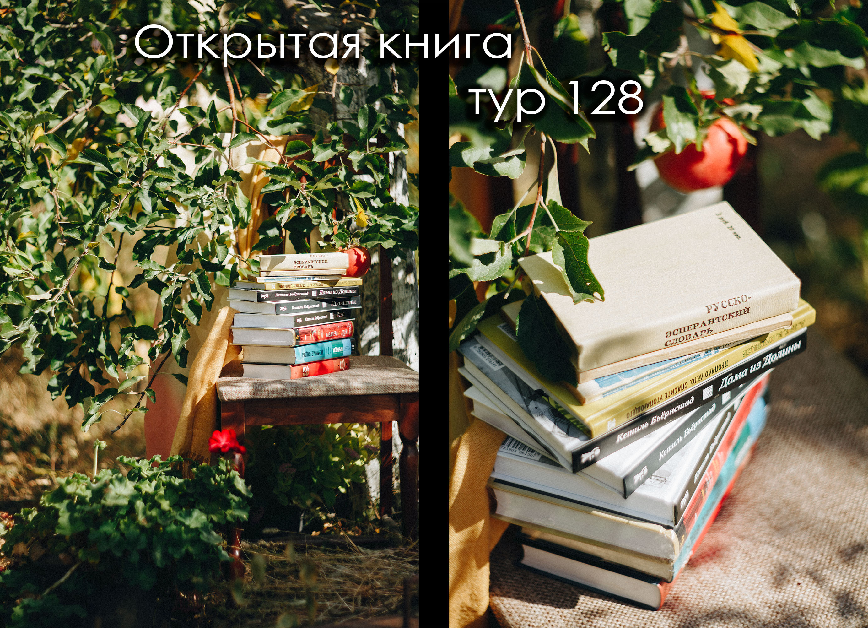 «ОТКРЫТАЯ КНИГА сентября 2023» 128 тур — 24 книги | Читать лучшие подборки на Livelib