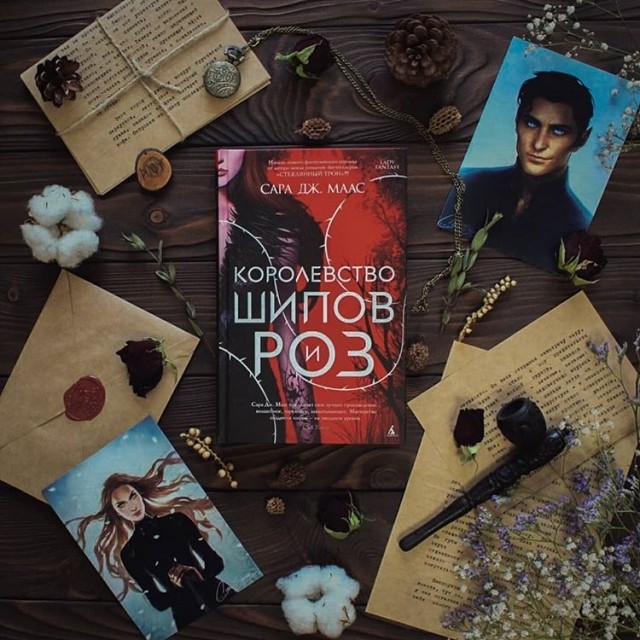 Королевство Шипов Роз Картинки Из Книги – Telegraph