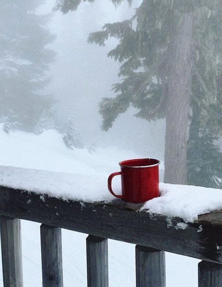 Бернхард Шлинк «Дом в лесу» — история litera_T