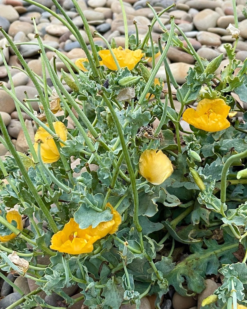 Что читаете на этой неделе? (21 - 27 ноября)