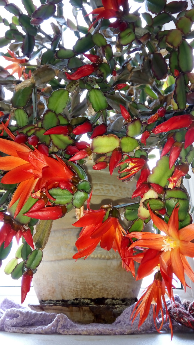 Что читаете на этой неделе? (15 - 21 мая)